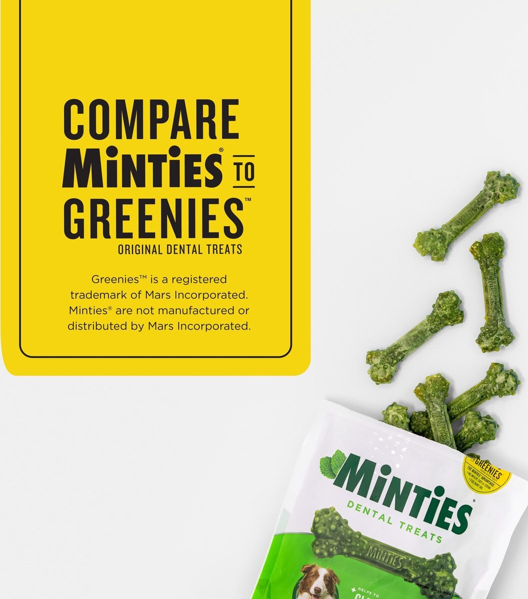 MINTIES Large Mint Flavored Dental Dog Treats 50+ lbs, 48-oz bag, 36 ...