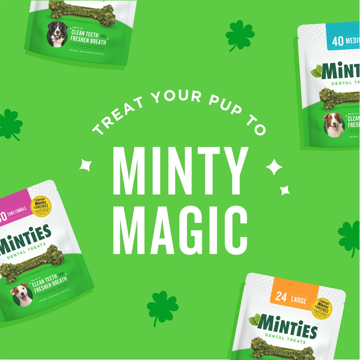 MINTIES Medium Mint Flavored Dental Treats for Dogs, 25-50 lbs, 6.4-oz ...