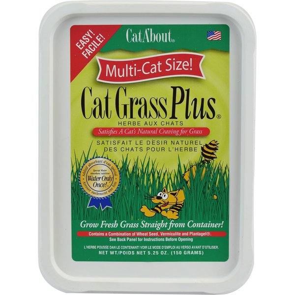 MIRACLE CARE Cat A'bout Herbs & Spices Cat Grass Plus, 5.25-oz ...