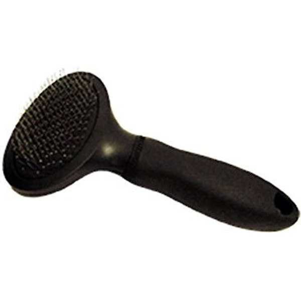 EVOLUTION Self-Cleaning Dog Slicker Brush, X-Small - Chewy.com