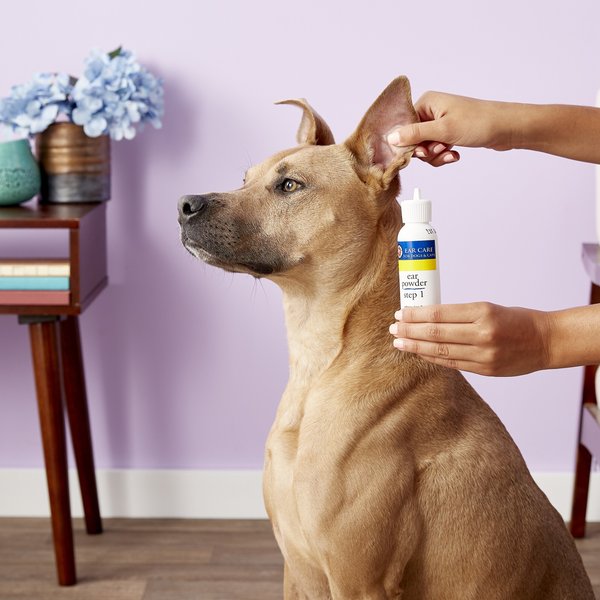 MIRACLE CARE Step 1 Ear Care, Ear Powder for Dogs & Cats, 12-g bottle ...