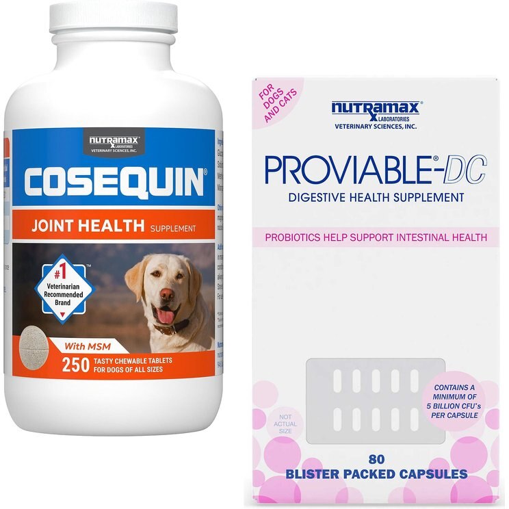 Nutramax Proviable - Free shipping | Chewy