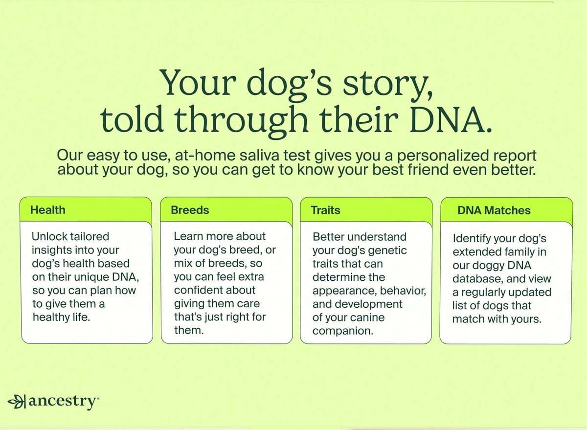 ANCESTRY Breed Identification & Genetic Health Screening DNA Test Kit ...