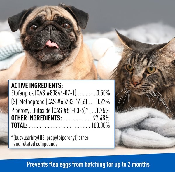 ADAMS Topical Flea & Tick Spray for Dogs & Cats, 32-fl oz bottle ...