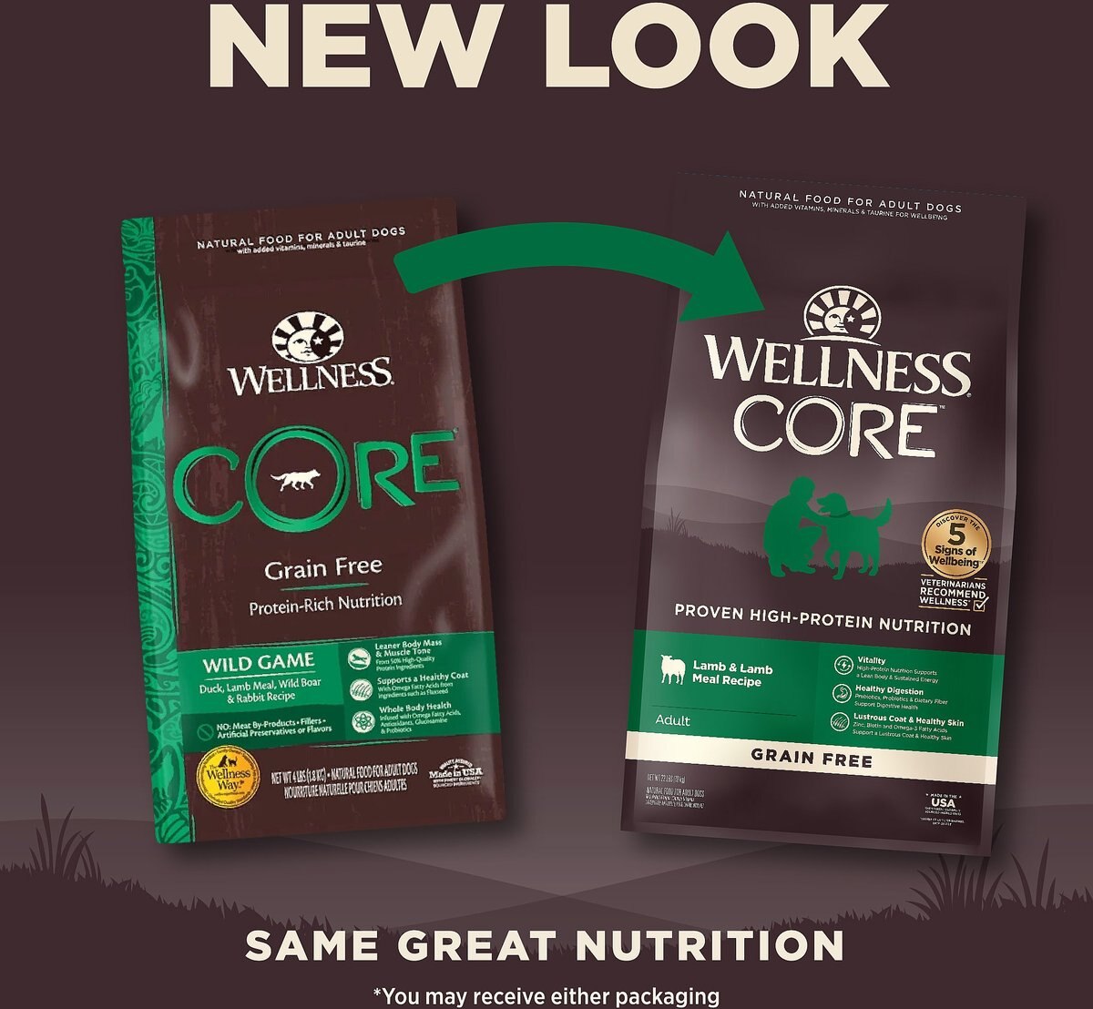 WELLNESS CORE Grain-Free Lamb Recipe Dry Dog Food, 22-lb bag - Chewy.com