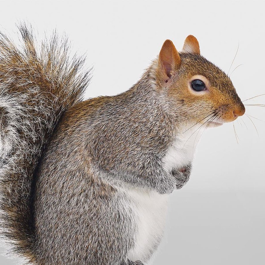 Today's Deals: Chewy Promo Codes, Discounts & Coupons | Chewy