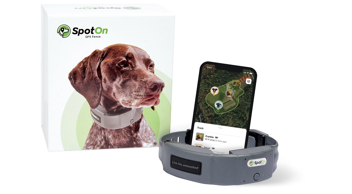 SPOTON FENCE Wireless GPS Dog Fence System, Grey, Large: 18 to 26-in ...