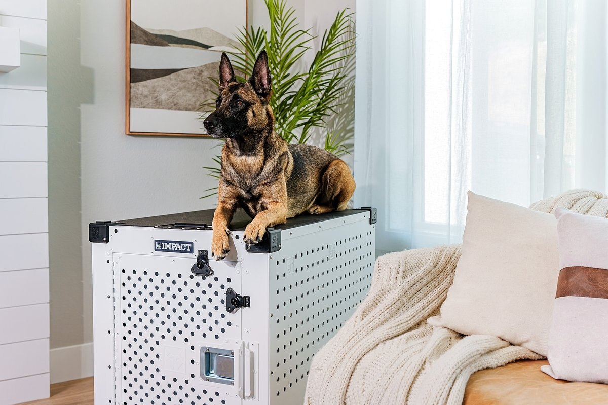 IMPACT DOG CRATES High Anxiety Single Door Aluminum Dog Crate, Gray, 34 ...