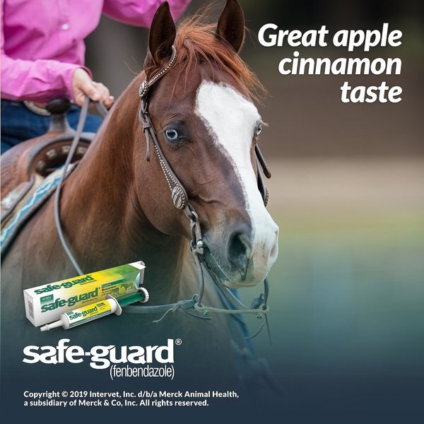 Temporarily Unavailable - SAFE-GUARD Equine Paste Horse Dewormer 10% ...