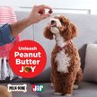 MILK-BONE Peanut Buttery Bites Jif Peanut Butter Soft & Chewy Dog ...