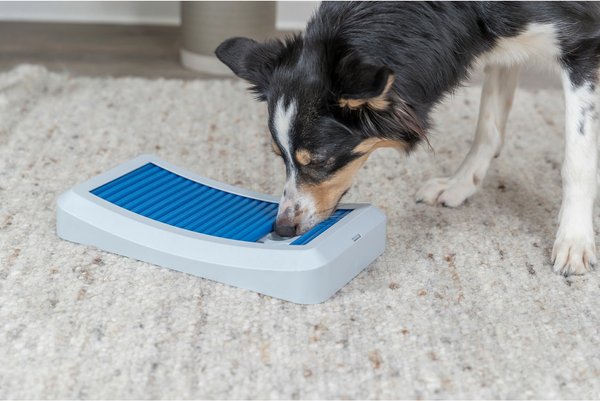 TRIXIE Rod Board Level 1 Strategy Game, Enrichment & Interactive Play ...