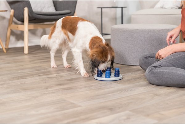 TRIXIE Solitaire Dog Activity Strategy Game Dog Toy - Chewy.com