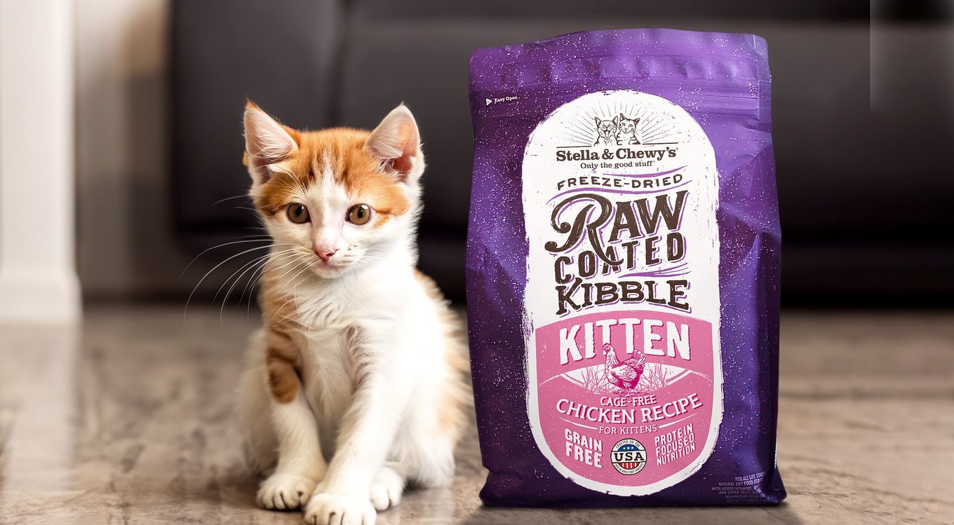 STELLA & CHEWY'S Chicken Flavored Raw Coated Cage-Free Kitten Dry Cat ...