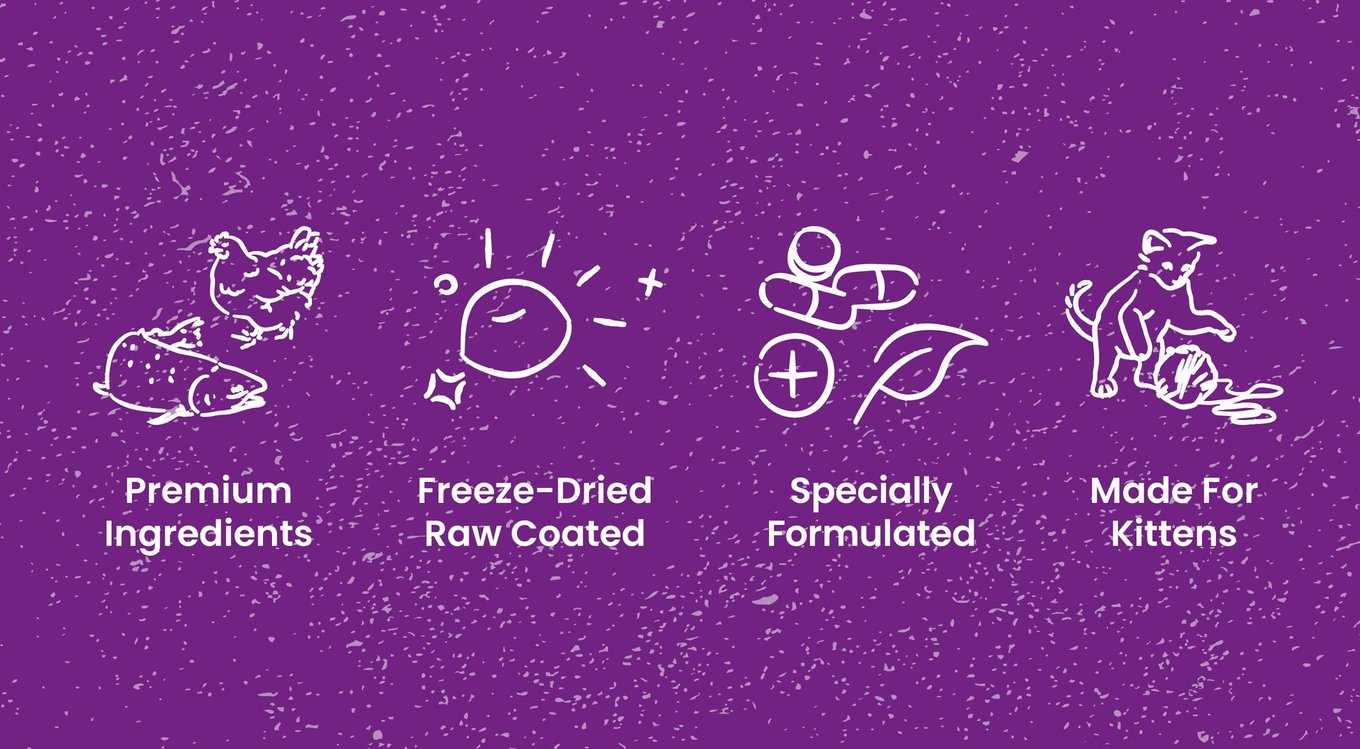 STELLA & CHEWY'S Chicken Flavored Raw Coated Cage-Free Kitten Dry Cat ...