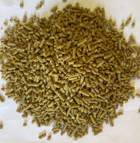 HUDSON FEEDS Grower Medicated Bovatec 18% Protein Lamb Feed, 50-lb bag ...