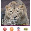 HYALOGIC HyaFlex Hyalogic Hyaluronic Acid Hip & Joint Formula Cat ...
