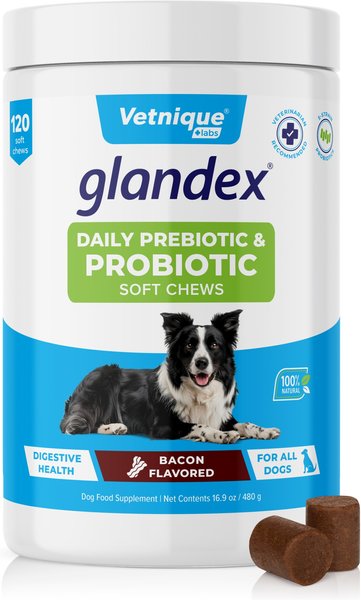 VETNIQUE LABS Glandex Daily Probiotics & Digestive Health Prebiotics ...