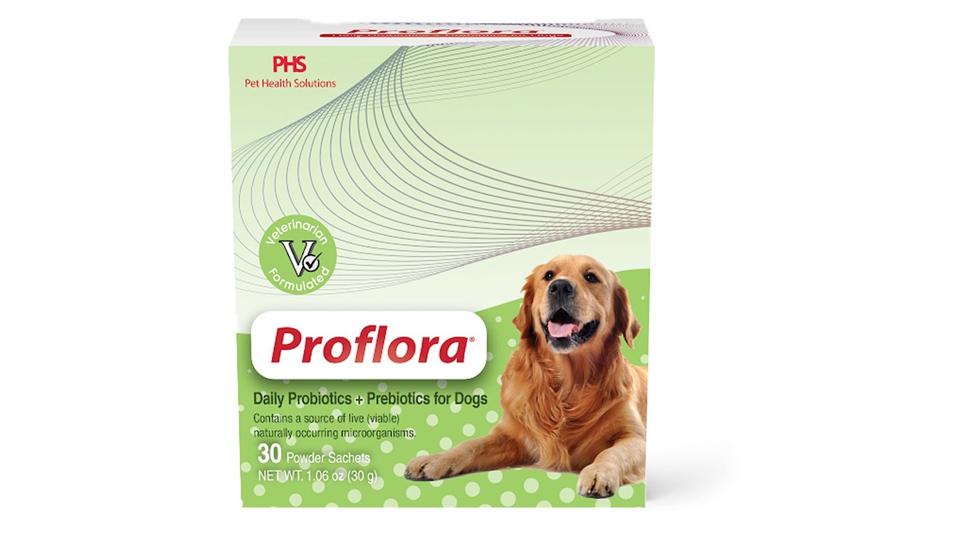 PROFLORA Powder Digestive Supplement for Dogs, 30 servings - Chewy.com