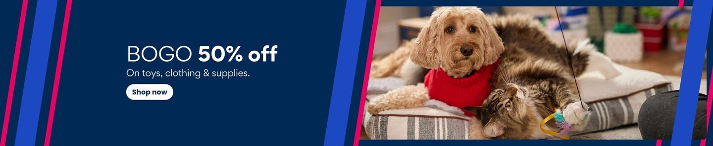 Pet Food, Products, Supplies at Low Prices - Free Shipping | Chewy.com