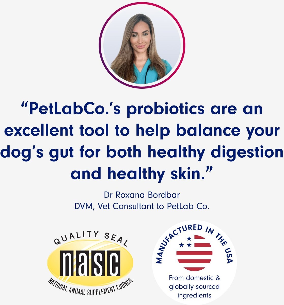 PETLAB CO. Probiotic Salmon Flavored Soft Chew Digestive Supplement for ...