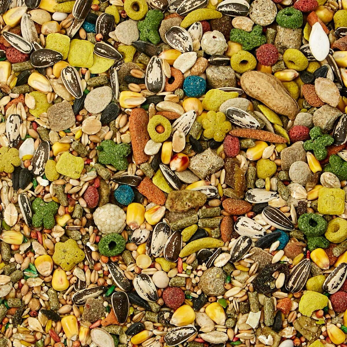 KAYTEE Fiesta Gourmet Variety Diet Mouse & Rat Food, 2-lb bag - Chewy.com