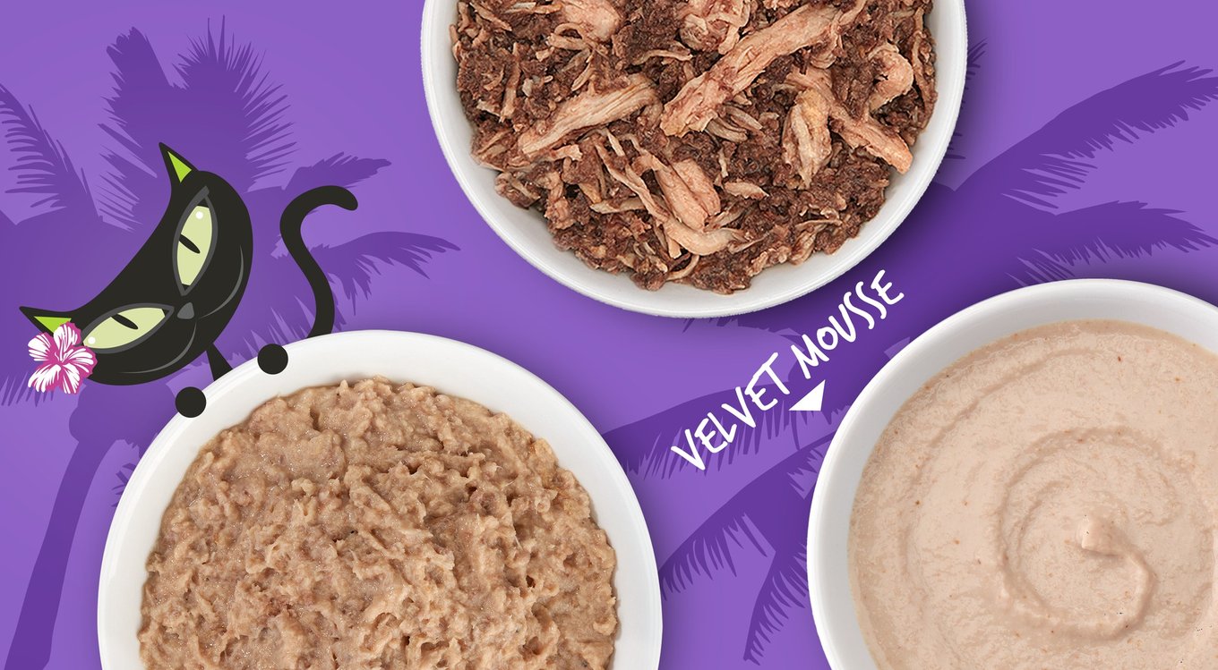 TIKI CAT Luau Velvet Mousse Variety Pack Grain-Free Wet Cat Food, 2.8 ...