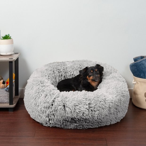 MEDIUM DOG BEDS (Free Shipping) | Chewy