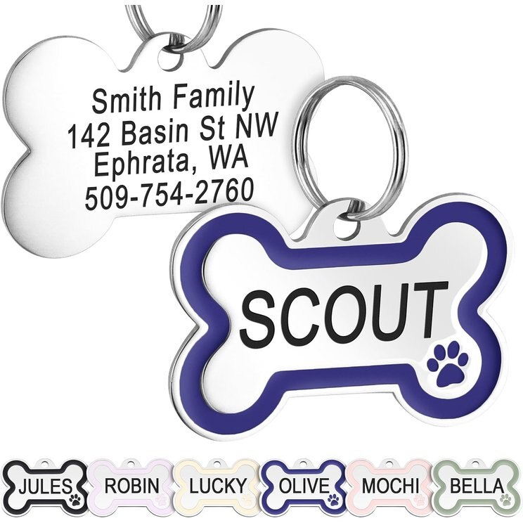 STAINLESS STEEL DOG TAGS (Free Shipping) | Chewy