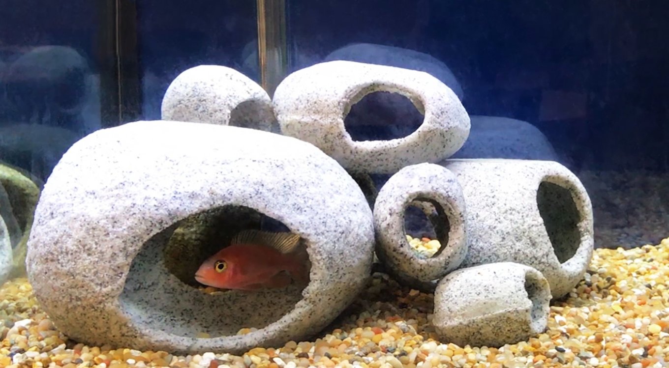 PENN-PLAX Stone Hideaway Aquarium Ornament, 1 count - Chewy.com
