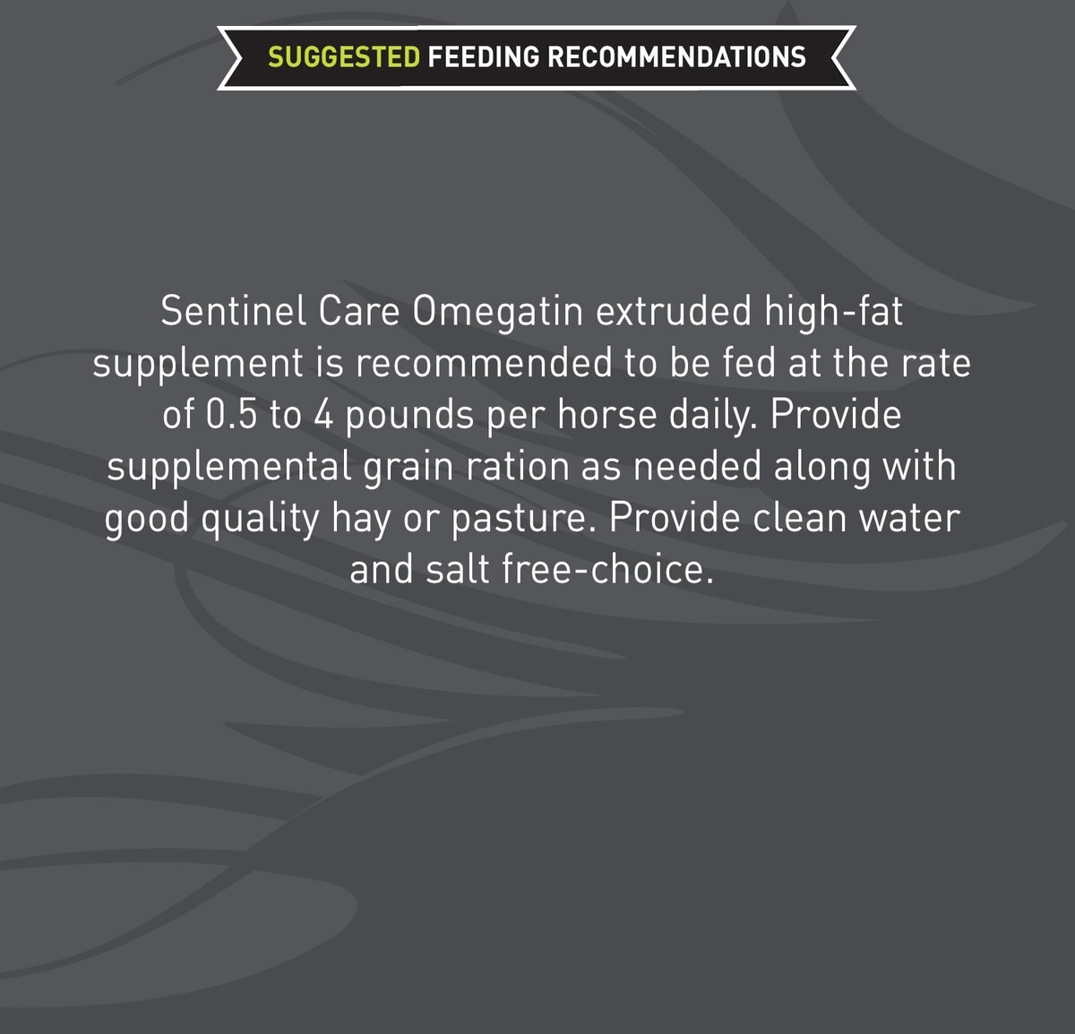 KENT / BLUE SEAL Sentinel Care - Omegatin Horse Food, 40-lb bag - Chewy.com