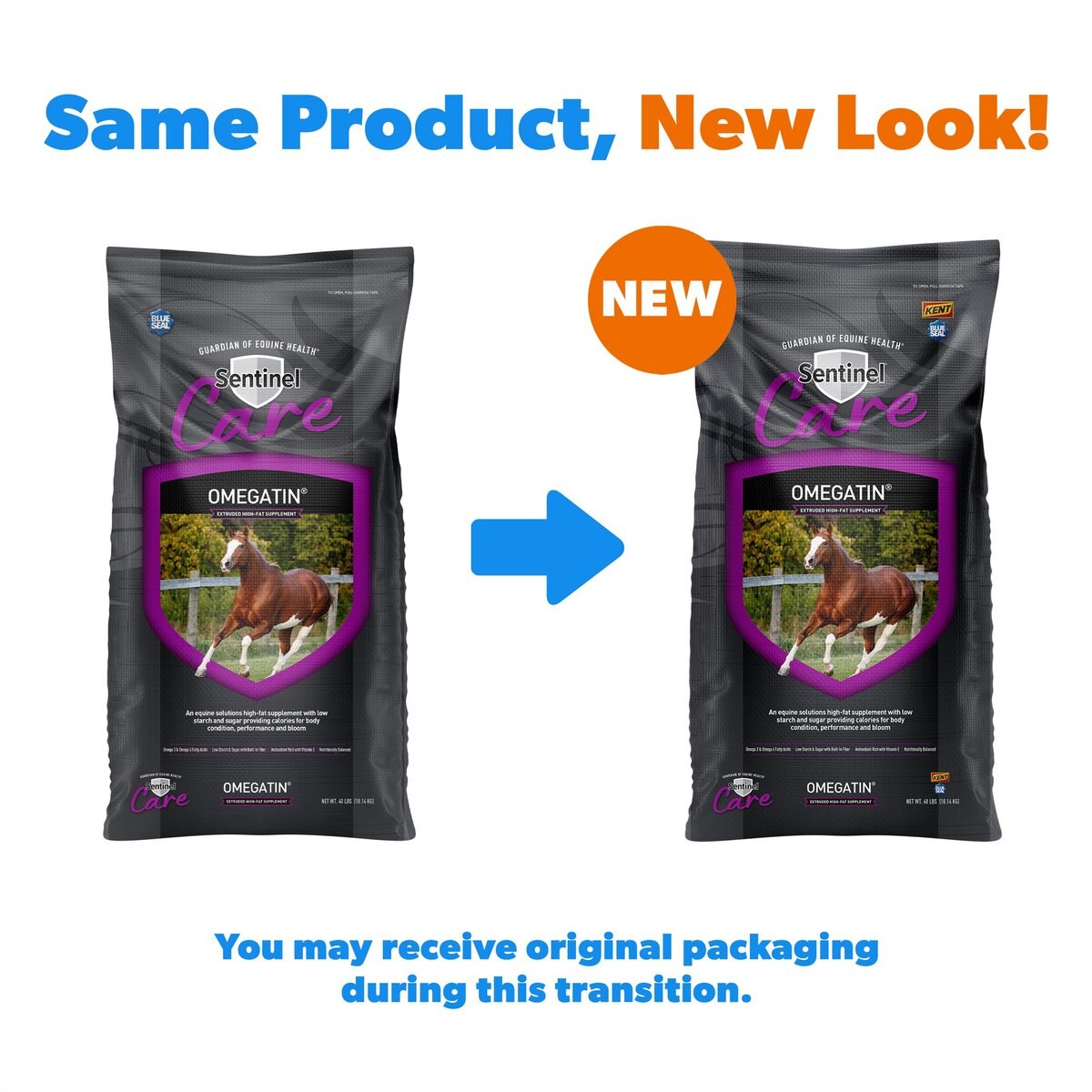 KENT / BLUE SEAL Sentinel Care - Omegatin Horse Food, 40-lb bag - Chewy.com