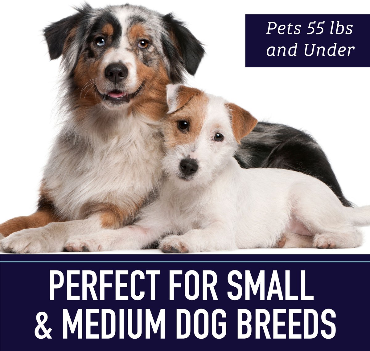 LEASH BOSS Plastic Retractable Dog Leash, One Size: 16-ft long, 1/2 ...