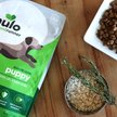 NULO Frontrunner Ancient Grains Chicken, Oats & Turkey Puppy Dry Dog ...