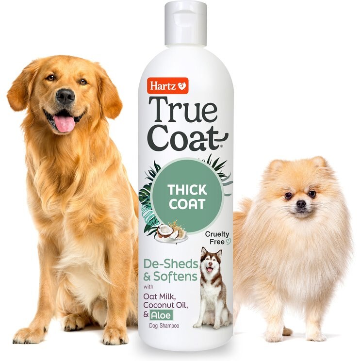 New Dog Essentials - Free shipping | Chewy