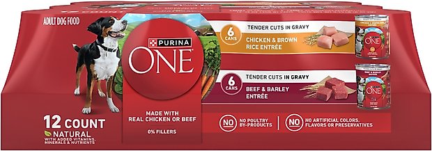Purina ONE Dog Food - Free Shipping | Chewy
