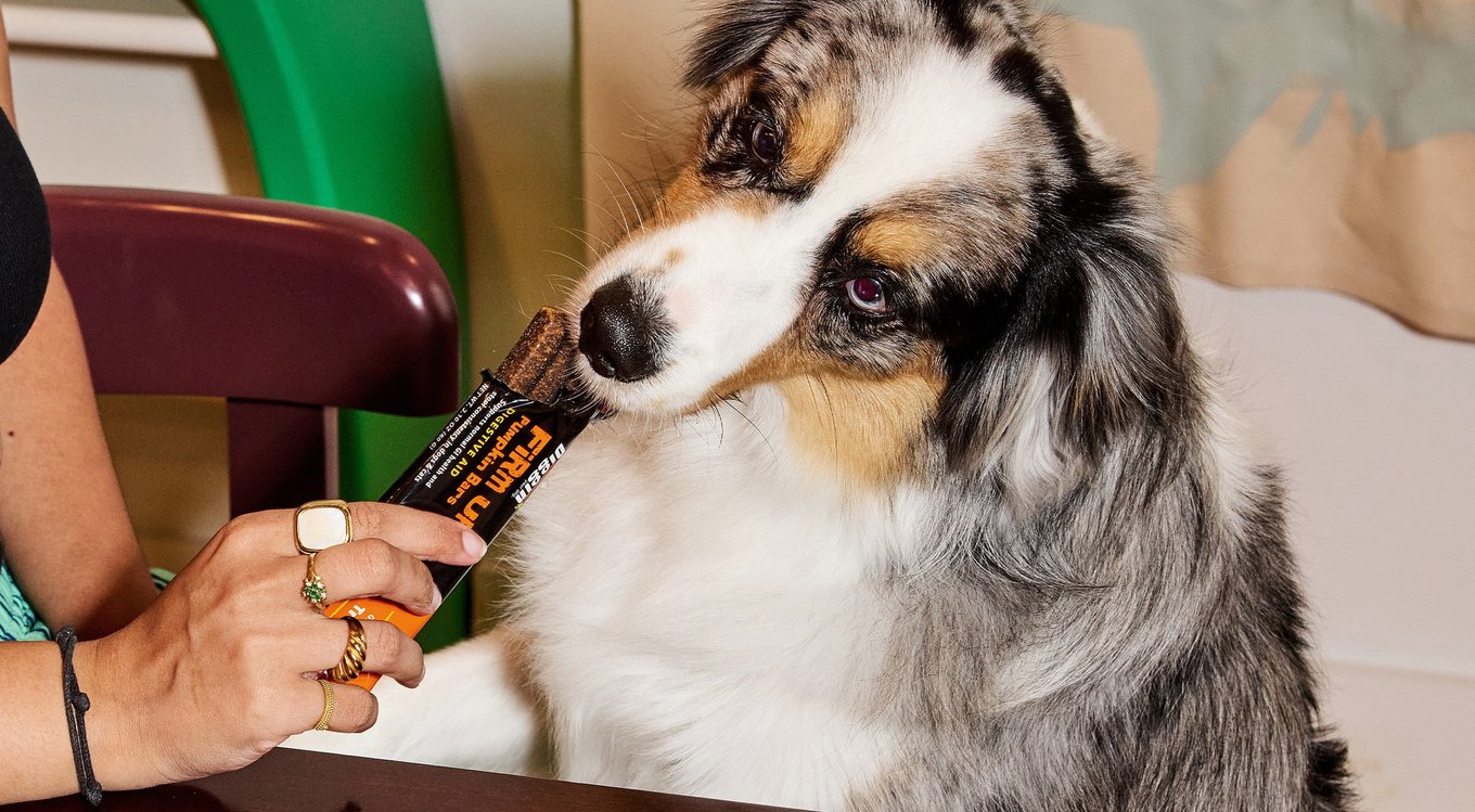 DIGGIN' YOUR DOG Firm Up! Pumpkin Digestive Aid Powder Supplement for ...