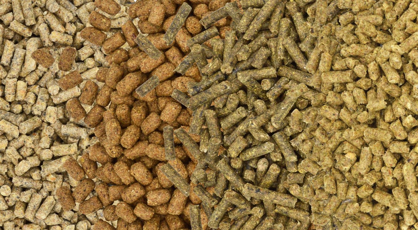 KENT / BLUE SEAL Sentinel Care - Omegatin Horse Food, 40-lb bag - Chewy.com