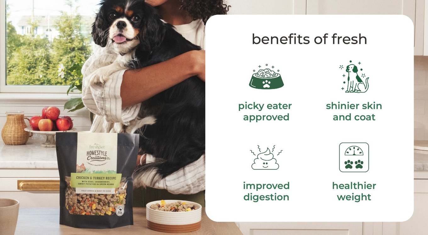 FRESHPET Homestyle Creations Fresh Chicken & Turkey Recipe Dog Food, 2 ...