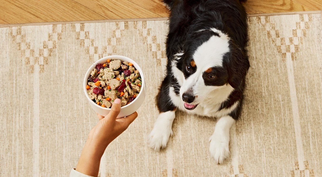 FRESHPET Homestyle Creations Fresh Chicken & Turkey Recipe Dog Food, 2 ...