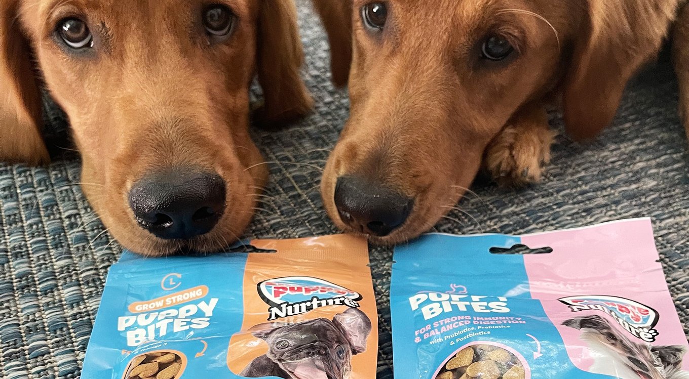 SNUGGLE PUPPY Bites Day Calm Supplement Turkey Flavored Soft Chews, 60 ...