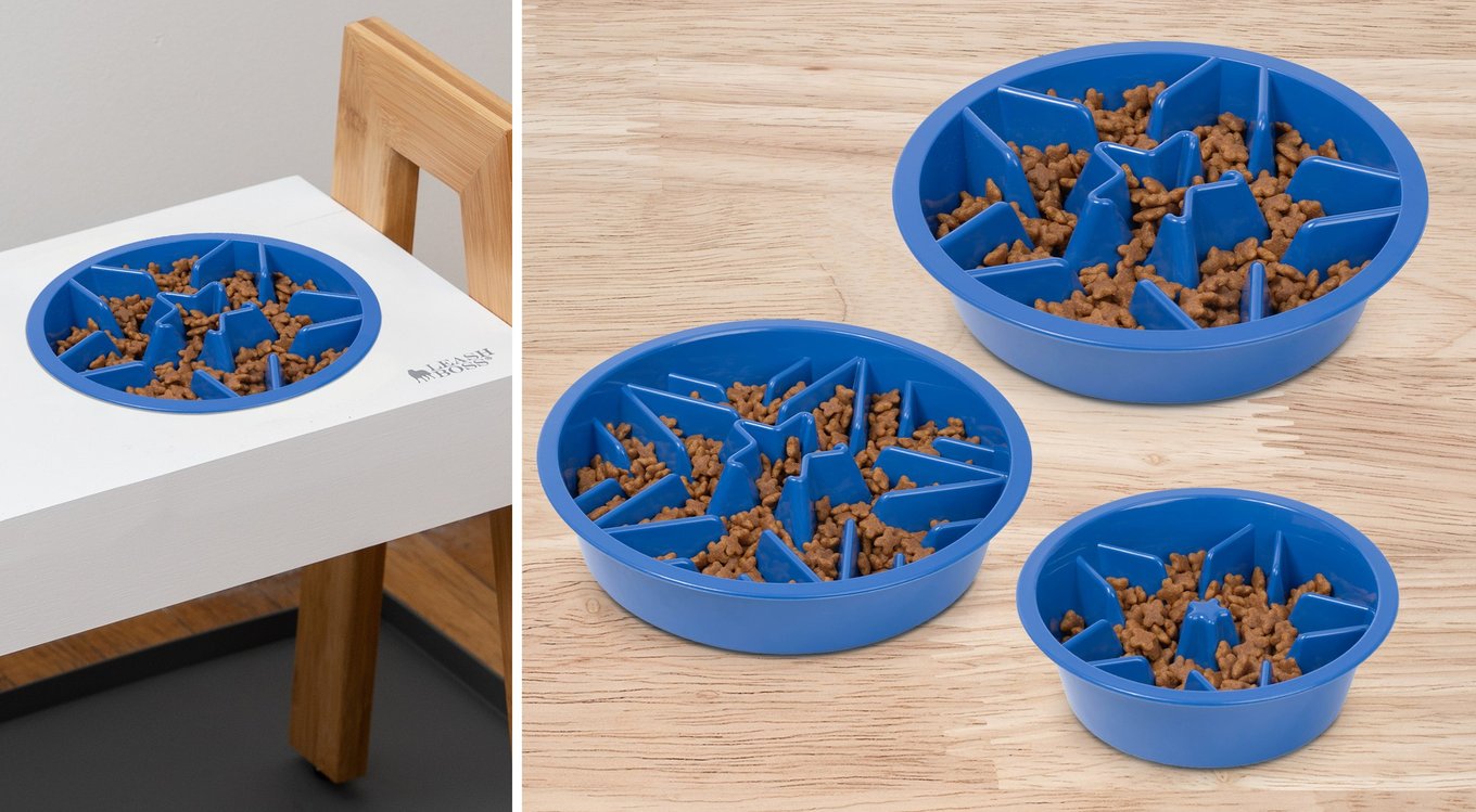 LEASH BOSS Waves Non-skid Slow Feeder Dog Bowl, Turquoise, 2-cup ...