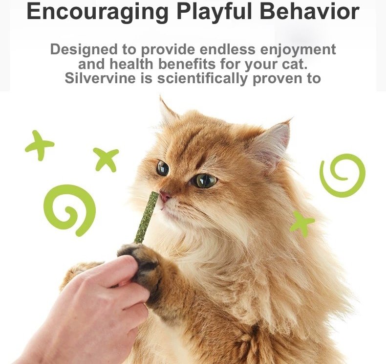 LOVELY CAVES Catnip Silvervine Chew Sticks Cat Toy, Green, 12 count ...
