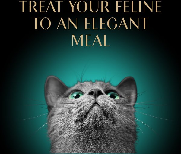 SHEBA Perfect Portions Grain-Free Tender Beef Entree Pate Adult Wet Cat ...