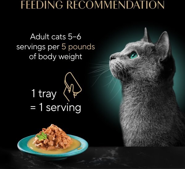 SHEBA Gravy Indulgence Chicken Entree in Extra Gravy Grain-Free Adult ...