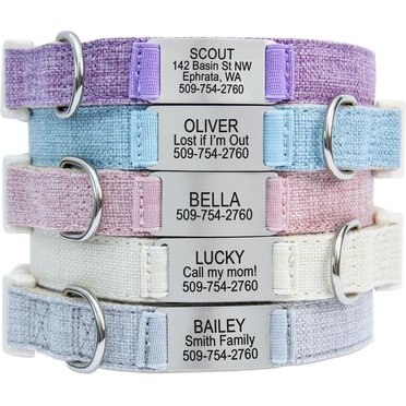 SMALL DOG COLLARS (Free Shipping) | Chewy