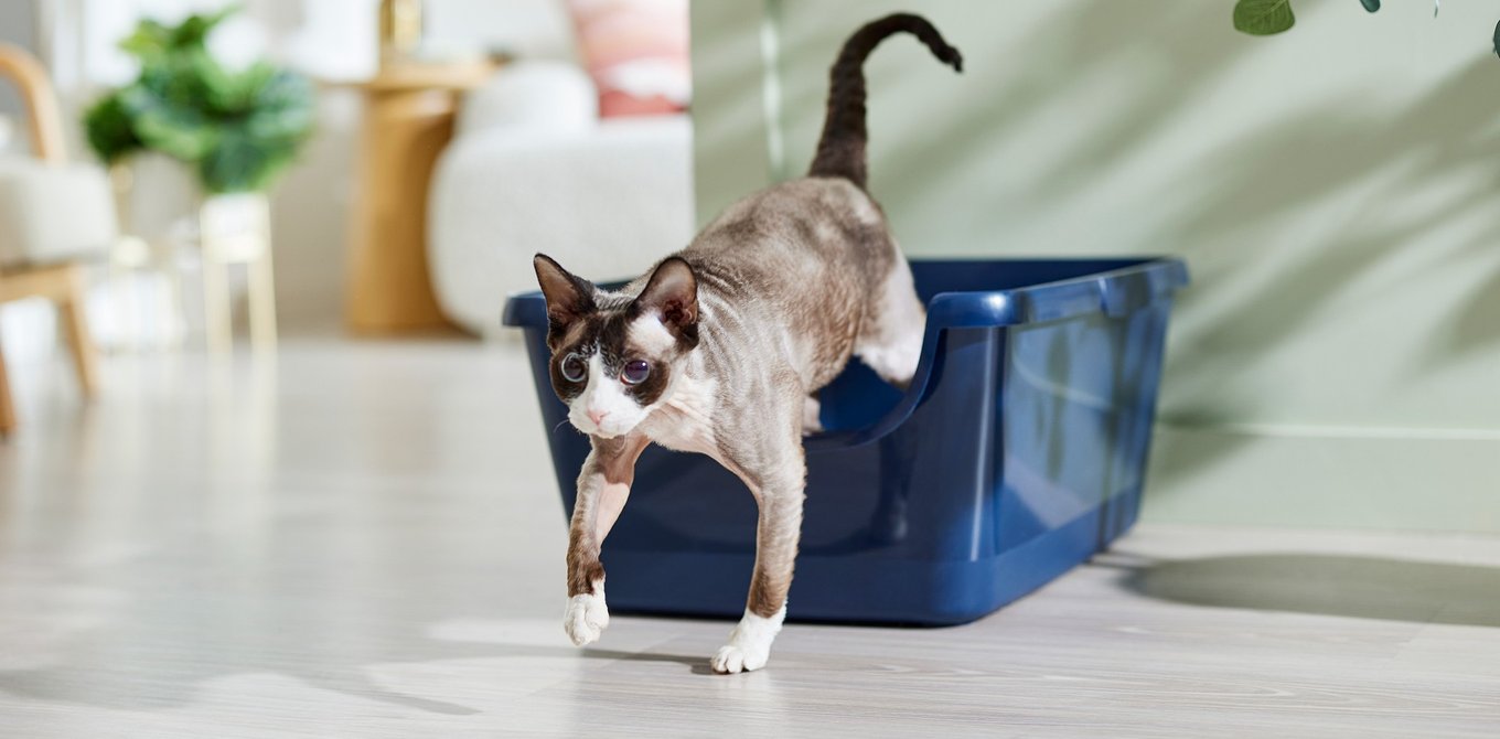 FRISCO Multi-Function Covered Cat Litter Box, 29-in, Without Tray ...