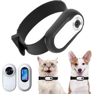 10 Best Dog Cameras & Monitors 2025: According to Reviews | Chewy