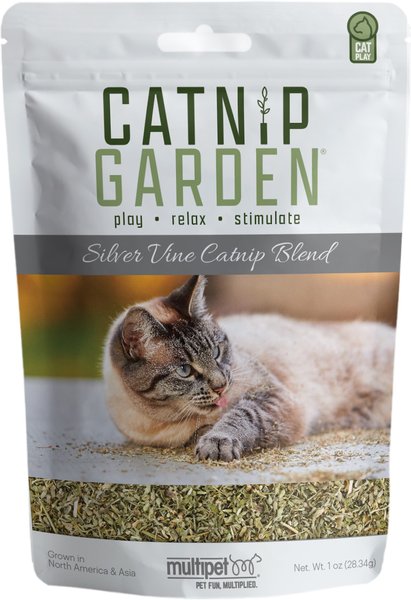 MULTIPET Catnip Garden Silvervine Cat Toy with Catnip, White, 1-oz bag - Chewy.com