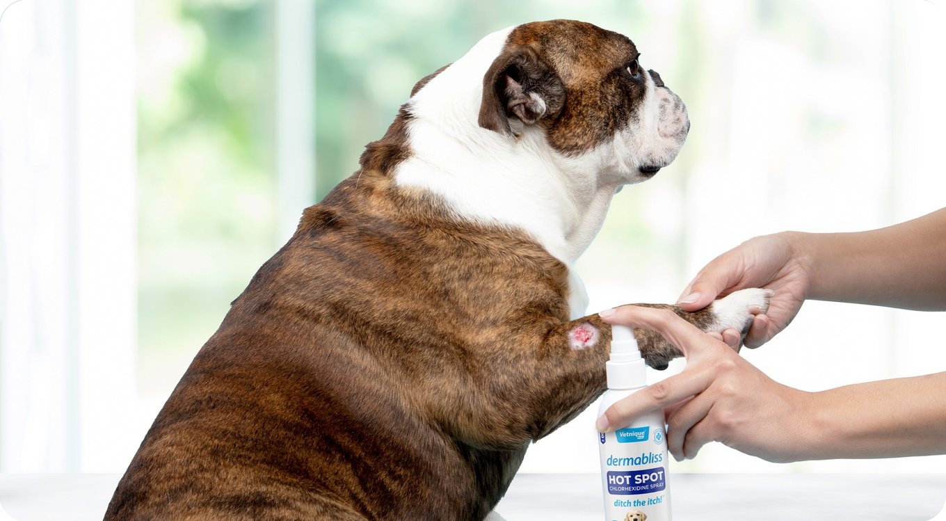 VETNIQUE LABS Dermabliss Advanced Vet Strength Allergy & Itch Relief ...