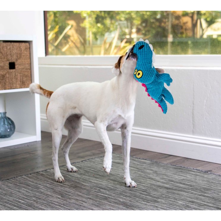 TOUGH CHEWER PLUSH DOG TOYS (Free Shipping) | Chewy